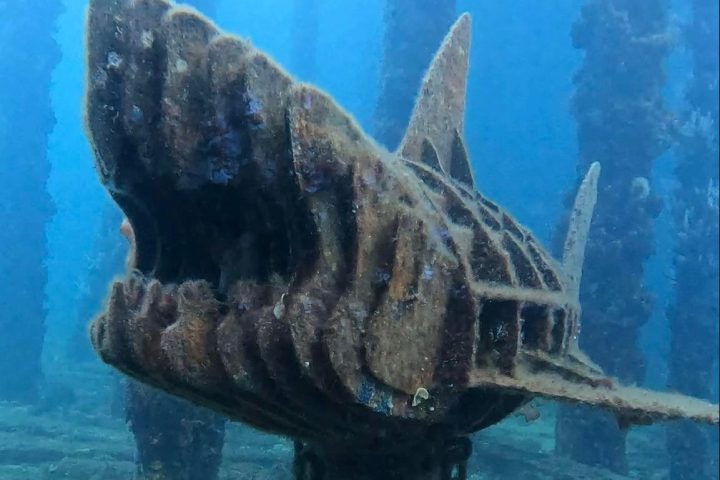 Busselton Jetty Diving Experience in Busselton, WA | Swan Dive