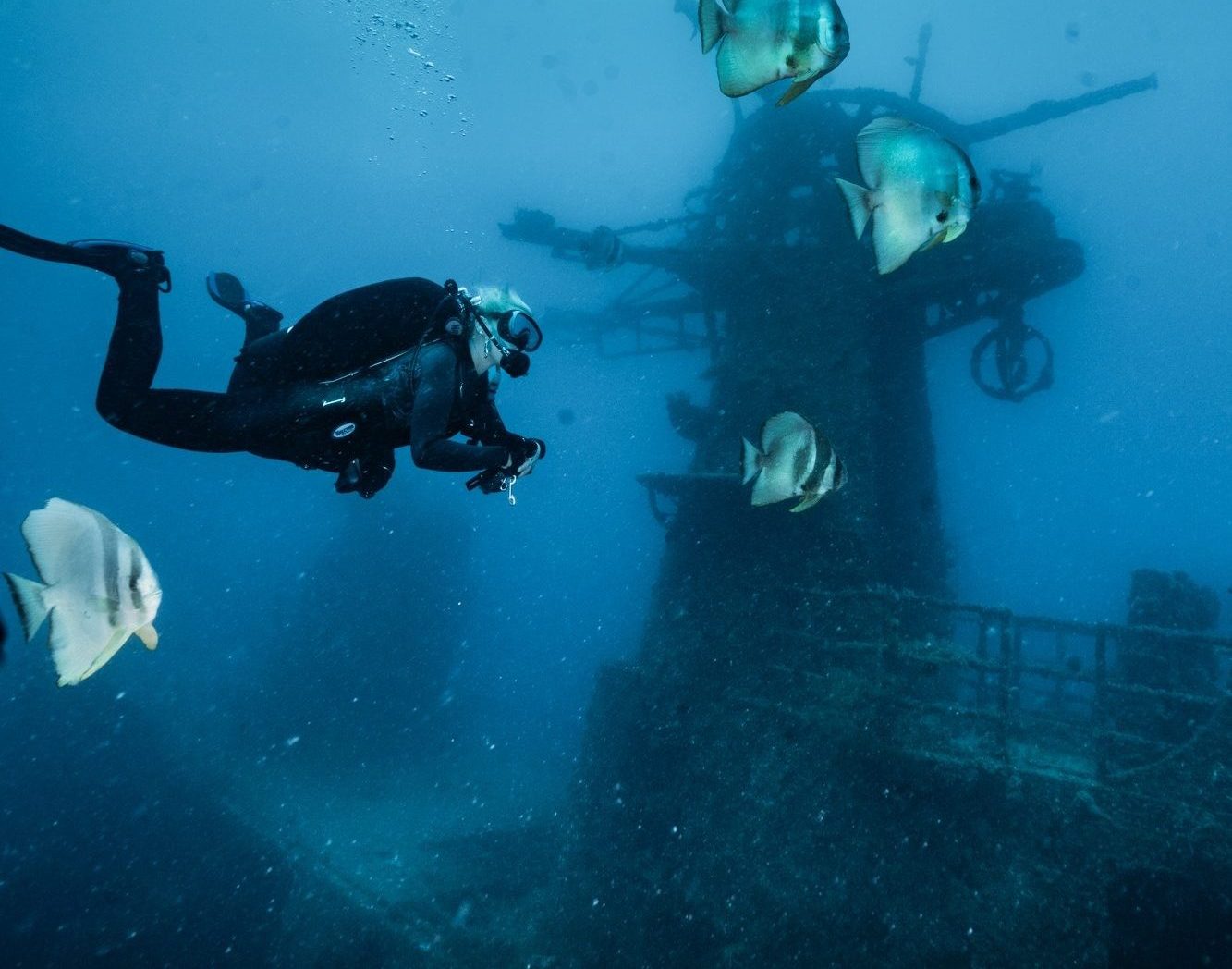 HMAS Swan Wreck Dive near Dunsborough in WA | Swan Dive