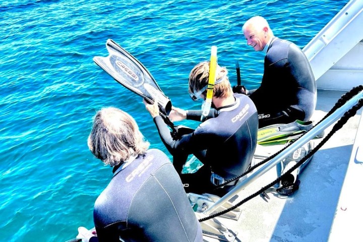 Busselton Jetty Snorkeling Experience in Busselton, WA | Swan Dive