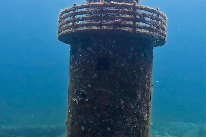 Busselton Jetty Snorkeling Experience in Busselton, WA | Swan Dive