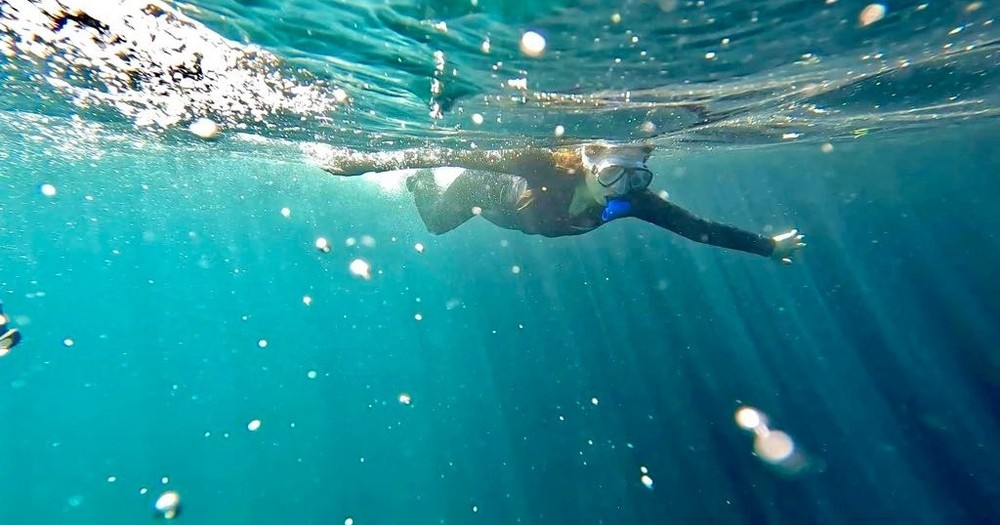 Busselton Jetty Snorkeling Experience in Busselton, WA | Swan Dive